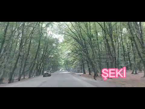 #🌳🌳OgUz Seki Yolu🐥🌷🌾