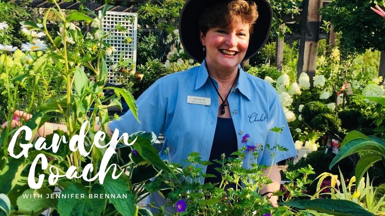 Garden Coach 6/25 - YouTube