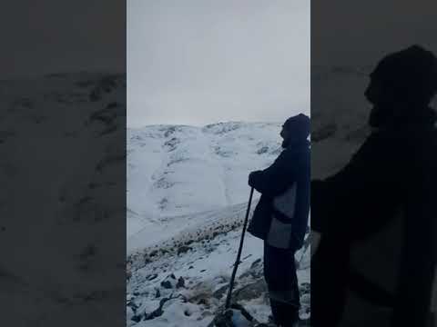 ŞAD OLUP GÜLMEDİM  benim gülüm soldu