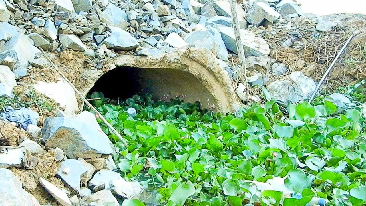 Unclogging Culvert Pipe Drain Water - Removing Everything Clogged ...