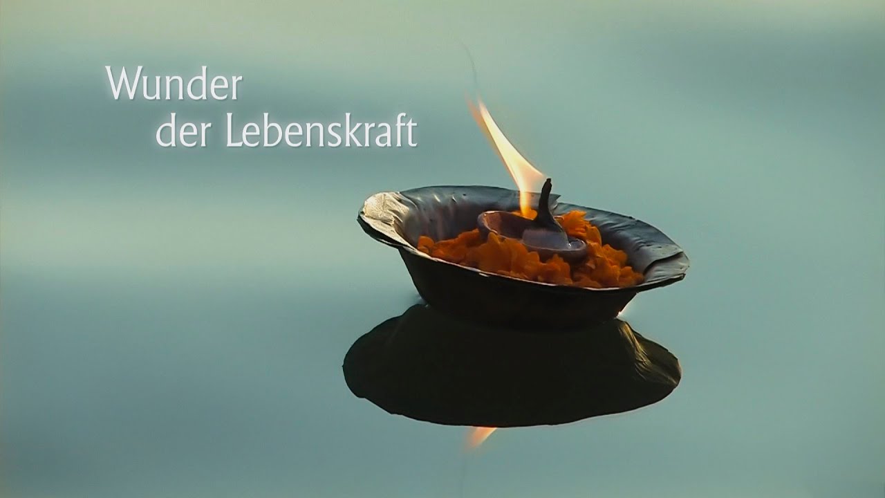 Wunder der Lebenskraft - der Film über die Erweckung der Kundalini-Kraft - YouTube