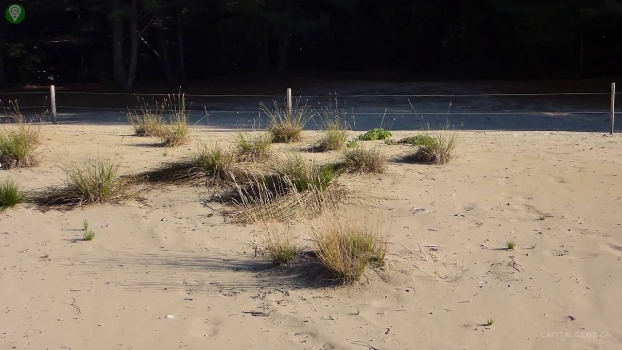 Pinhey Sand Dune Complex - CapitalGems.ca - YouTube