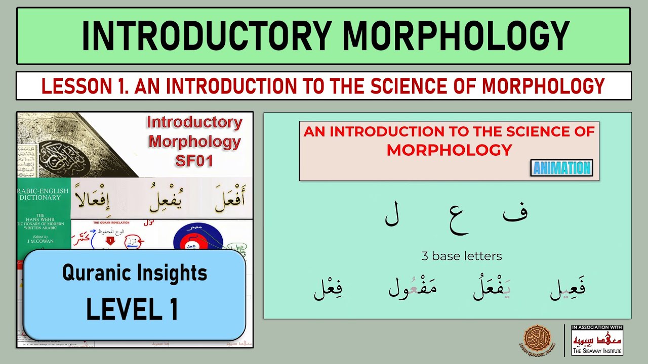 Introductory Morphology | Introduction to the Science (animated) - YouTube