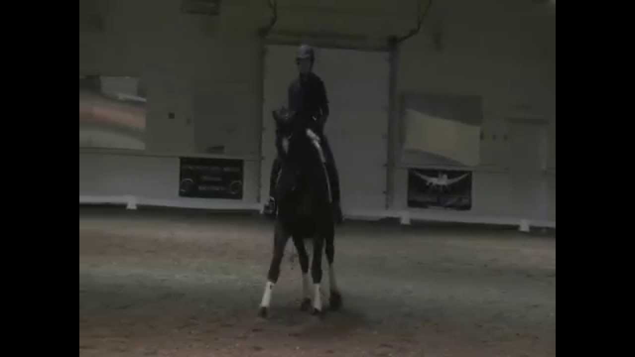 Collected canter- 3rd level dressage in the snaffle - YouTube