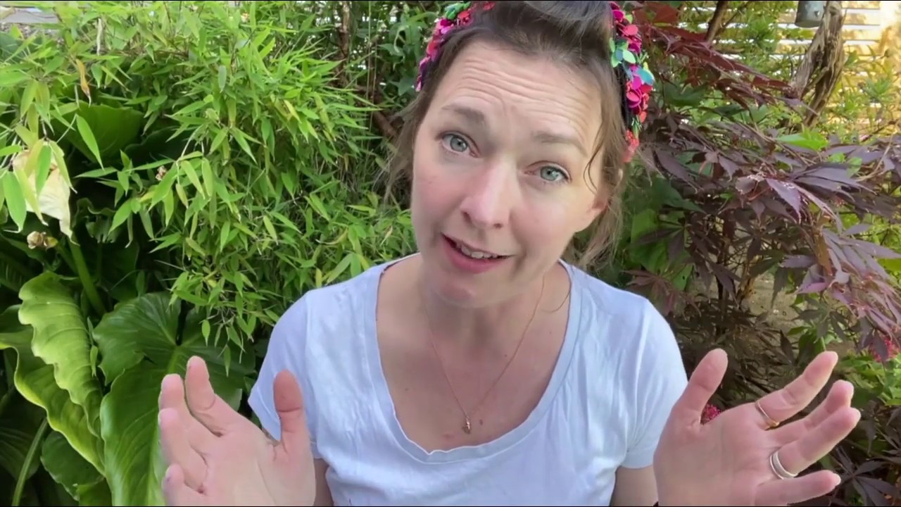 Maya Leonard supports No Insectinction - YouTube