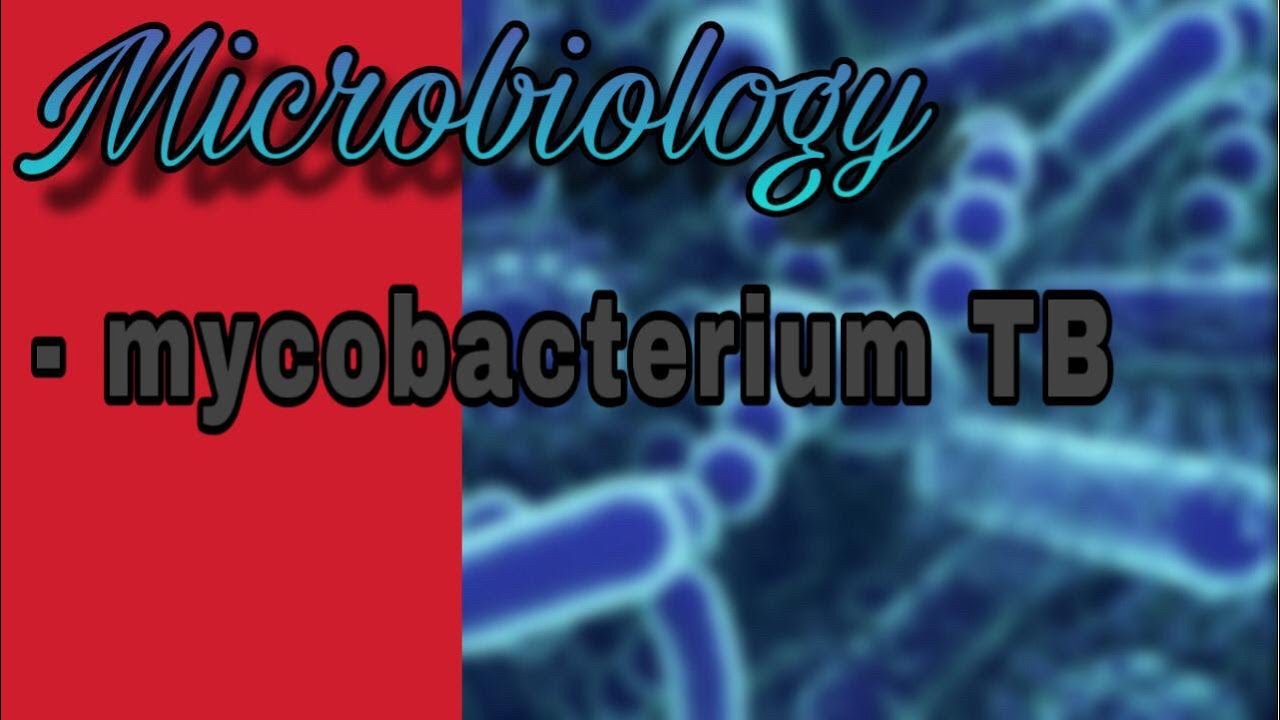 Microbiology - Mycobacterium TB - YouTube