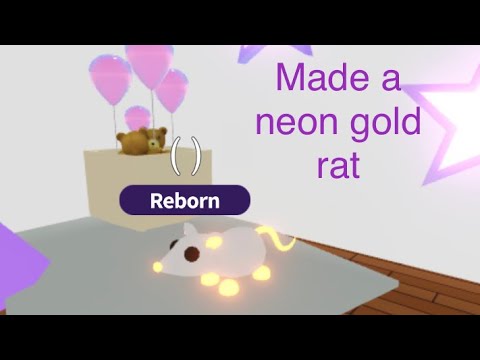 Made a neon gold rat 😊💕 •adopt me • - YouTube