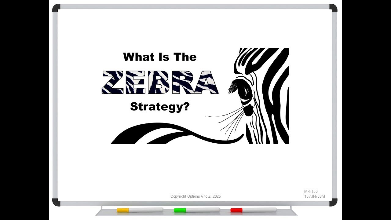What Is The ZEBRA Strategy? - YouTube