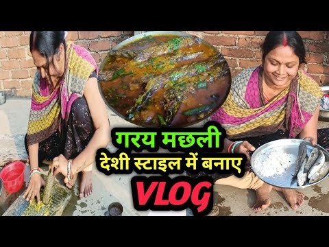 गरय मछली बनाने देशी स्टाइल में l Garay machli recipe l Garay machli ...