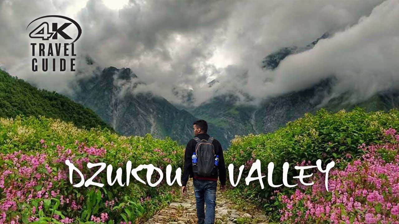 Dzukou Valley (North East India) - Nagaland | Cinematic Guided ...