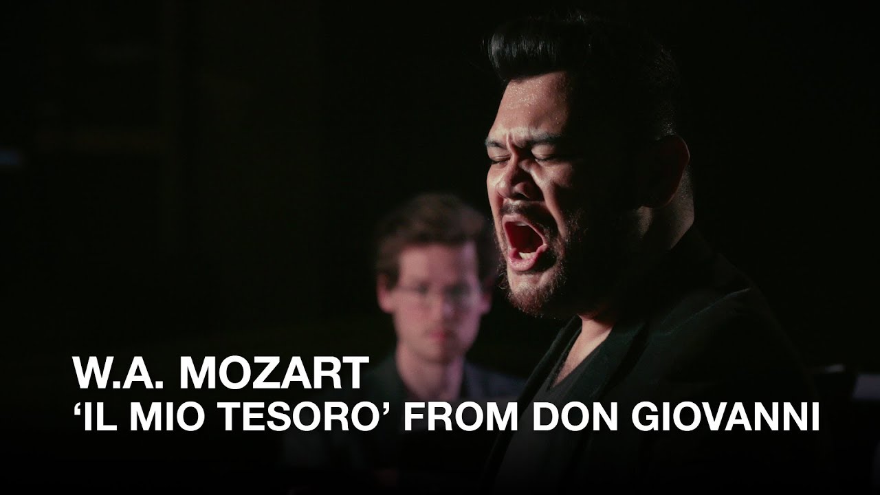 W. A. Mozart: 'Il mio tesoro' from Don Giovanni, sung by Charles Sy ...