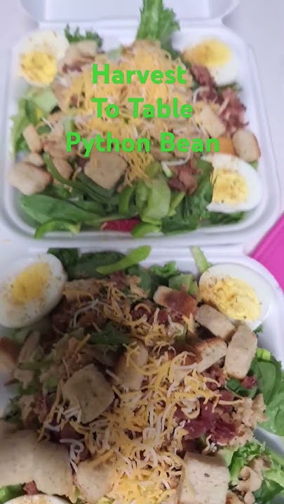 #youtubeshorts Harvest to Table Python Bean & Beets #garden - YouTube