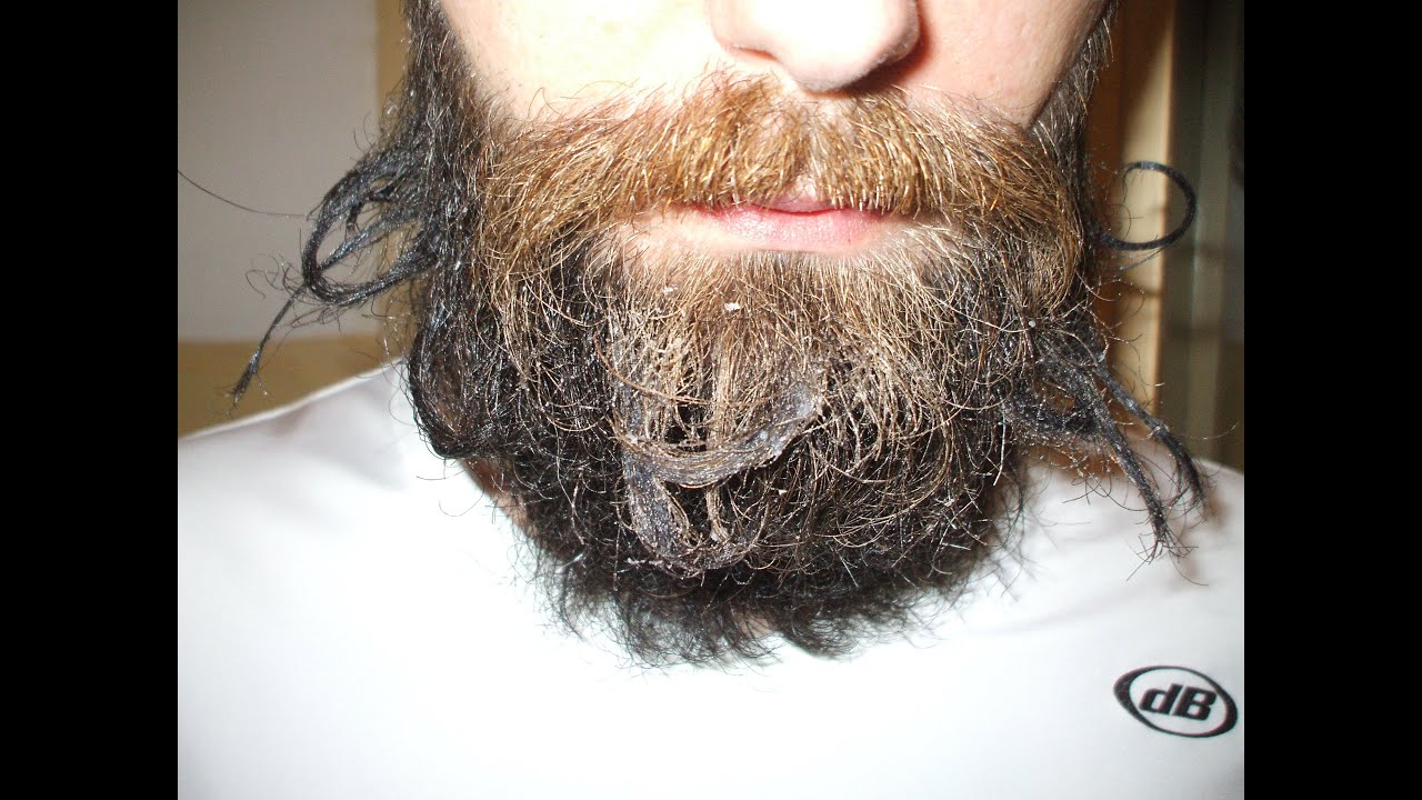 Beard poem pleasure POETIC - YouTube