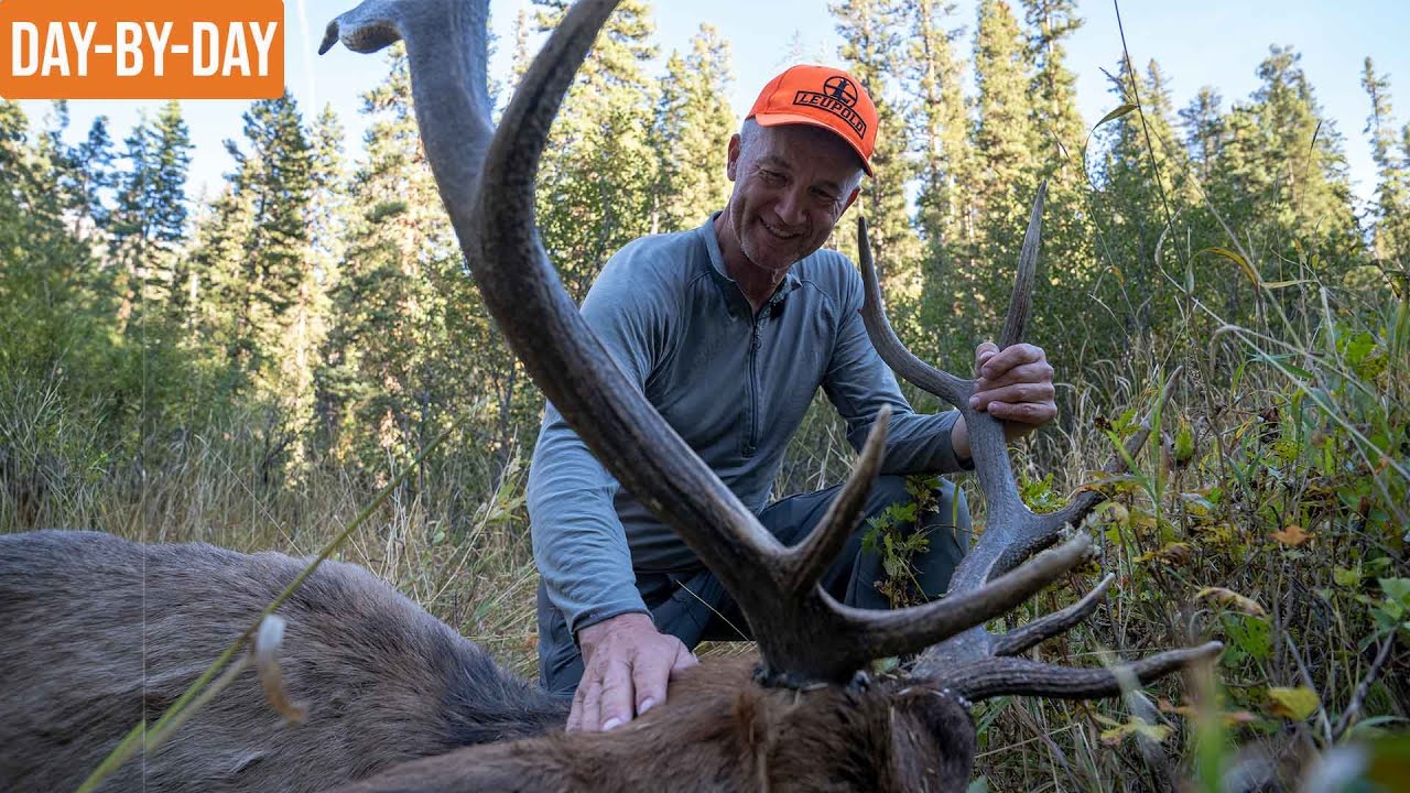 Randy's Bull! | An EPIC Backcountry Elk Hunt! (ep.4) - YouTube