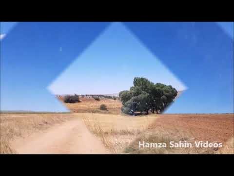 Yayla Yollarında Bir Güzel Gelin-Sipsili/Halk Müzigi