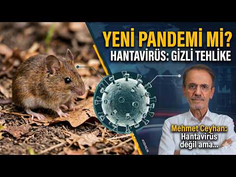 Mehmet Ceyhan'dan Hantavirüs uyarısı! Yeni bir pandemi çıkar mı? \