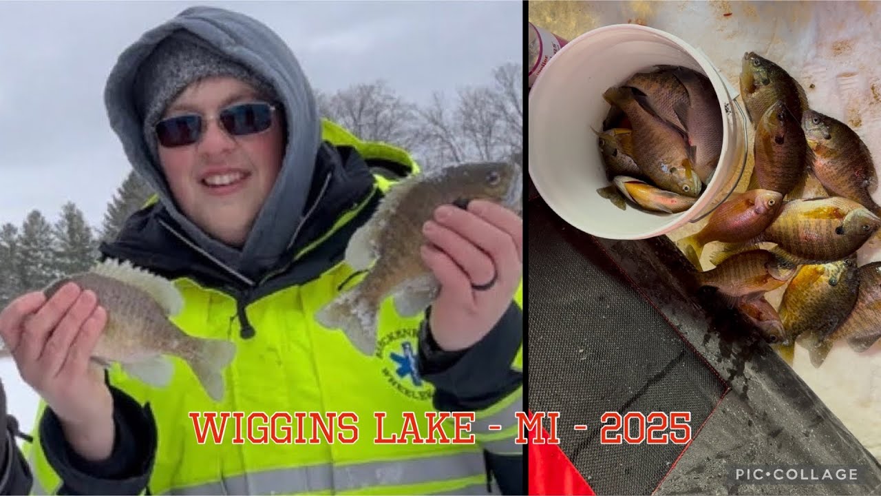 WIGGINS LAKE ICE FISHING - MI - 2025! FISH BITE WAS GREAT! - YouTube