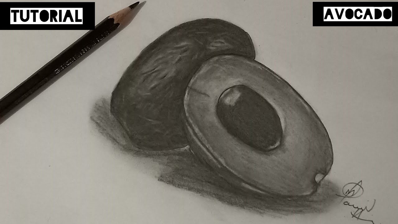 Hyper realistic Avocado 🥑|| tutorial step by step| for beginners - YouTube