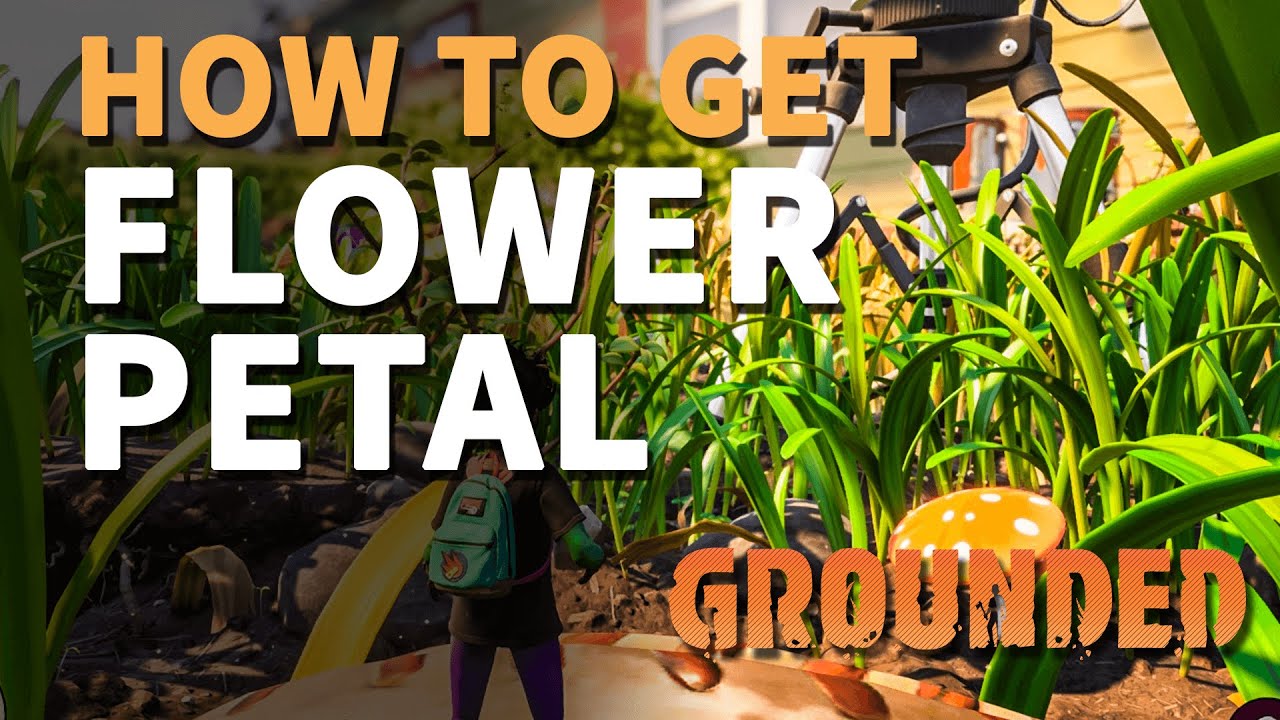 How To Get Flower Petal Grounded YouTube How To Get Flower Petal Grounded YouTube