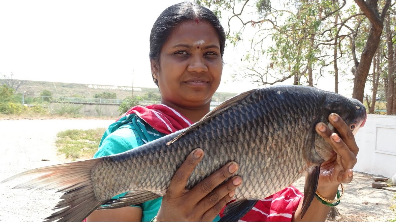காரசாரமான டேம் பிரஷ் கட்லா மீன் குழம்பு / Dam Fresh Fish Kulambu - YouTube