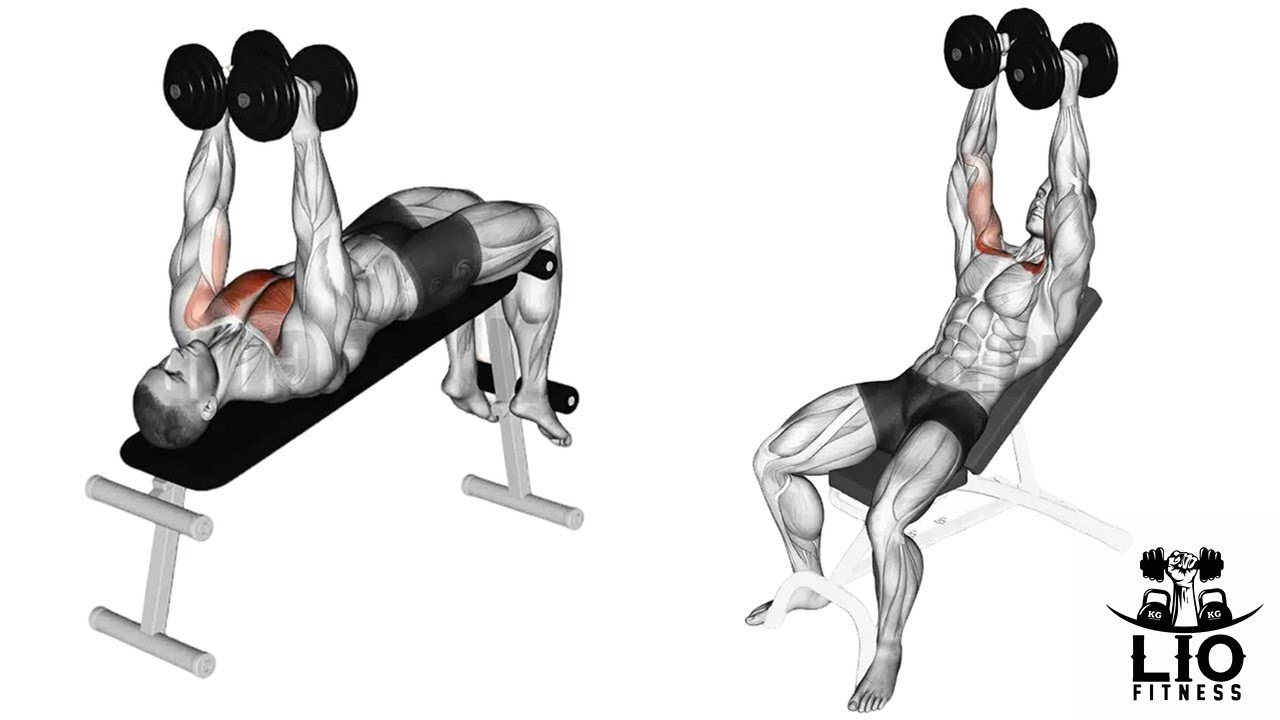 LOS MEJORES EJERCICIOS PARA AGRANDAR PECHO CON MANCUERNAS - YouTube