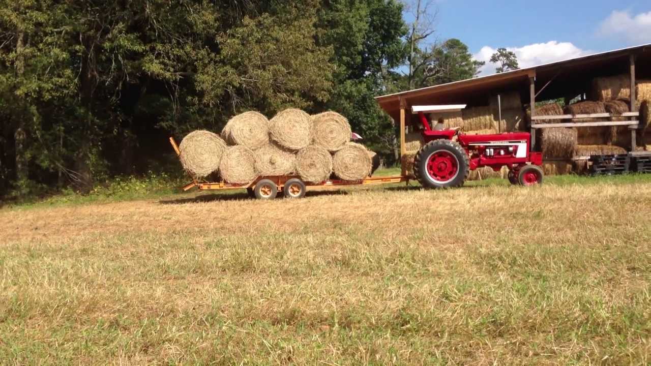 IH 686 with M&W Turbo hauling 16 4x4 Round Bales - YouTube