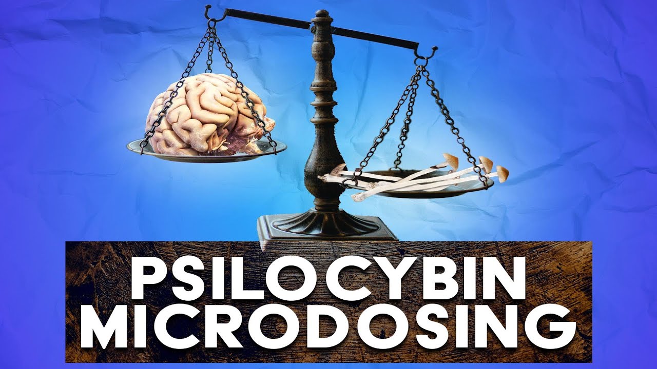 The Micro Dosing of Psilocybin Mushrooms - YouTube