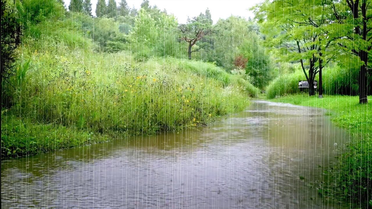 Rain Sounds in the Park for a Perfectly Restful Sleep - Healing and ...