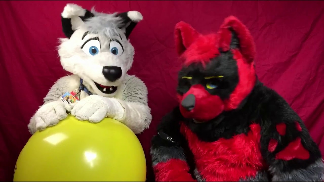 Bearly A Singles Bar: SPEEDDATE - YouTube