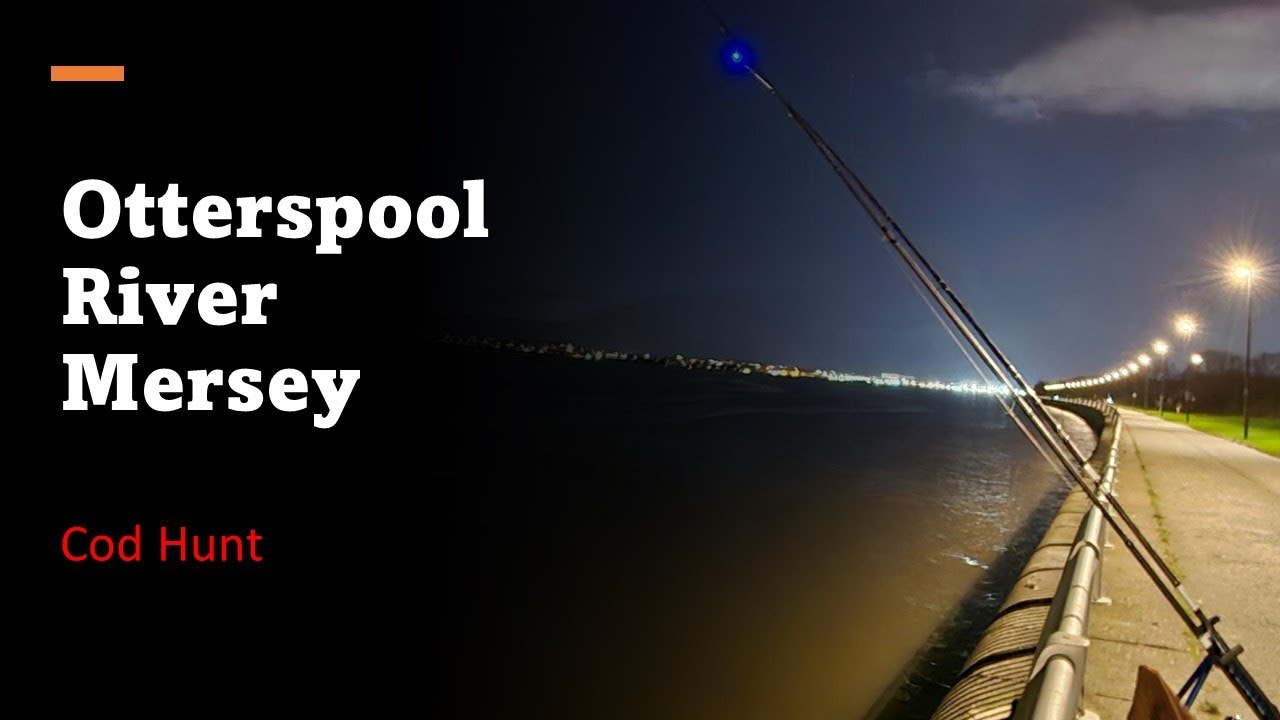 Otterspool River Mersey Cod Hunt - YouTube