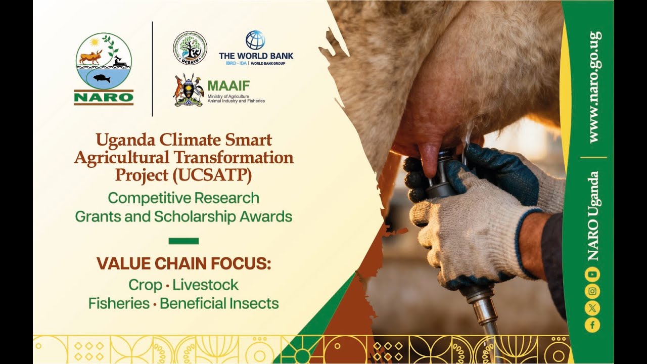 UGANDA CLIMATE SMART AGRICULTURAL TRANSFORMATION PROJECT - YouTube