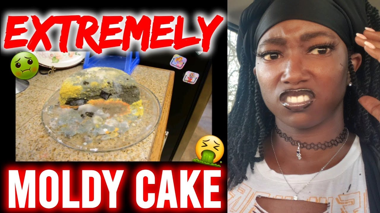 EXTREMELY Moldy Cake | Reaction Video | #reaction - YouTube