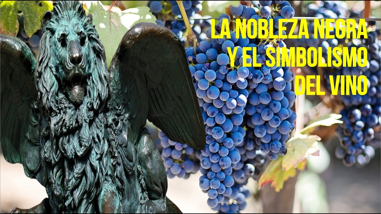 La Nobleza Negra y el simbolismo dionisiaco del vino - YouTube