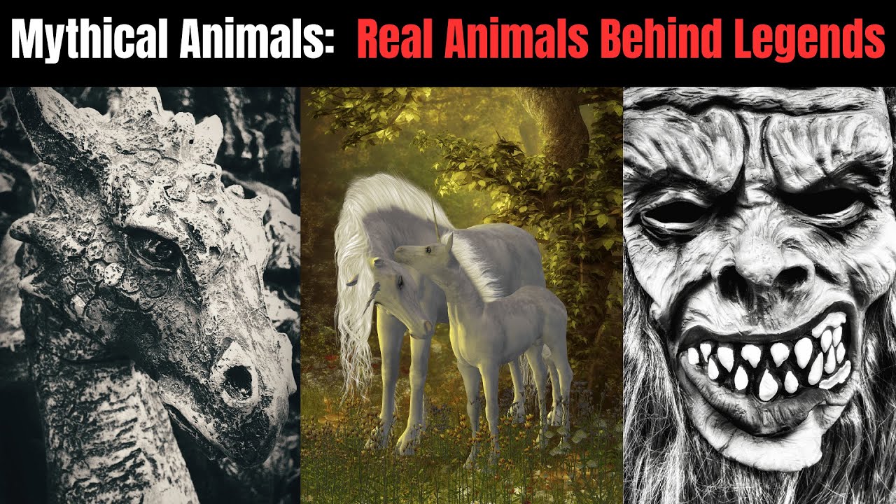 Mythical Creatures of the Animal Kingdom: Real Animals Behind Legends ...