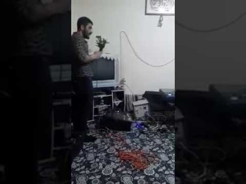 Hozan Tarık Norşin 2017
