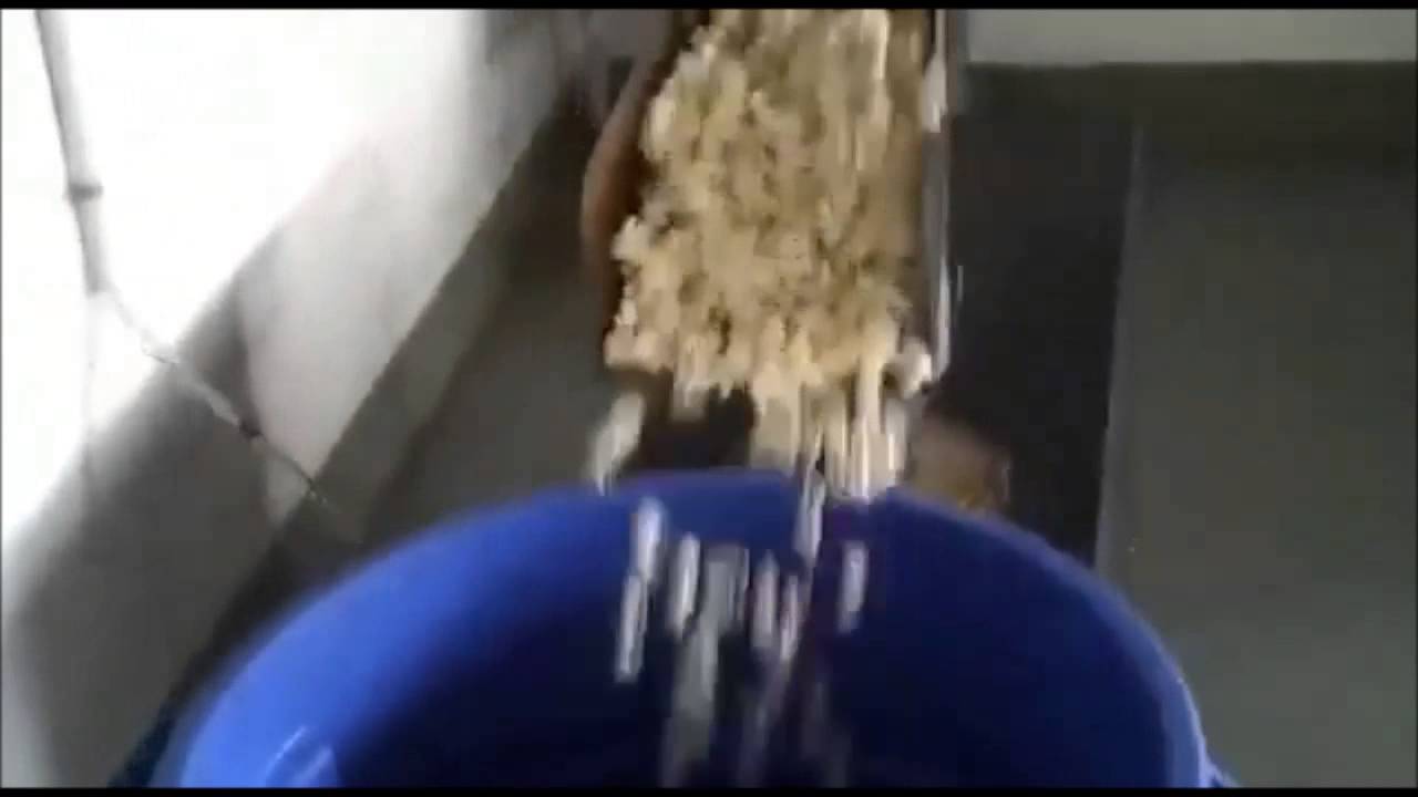 cotufera electrica parrafoods 30 kg/h. - YouTube