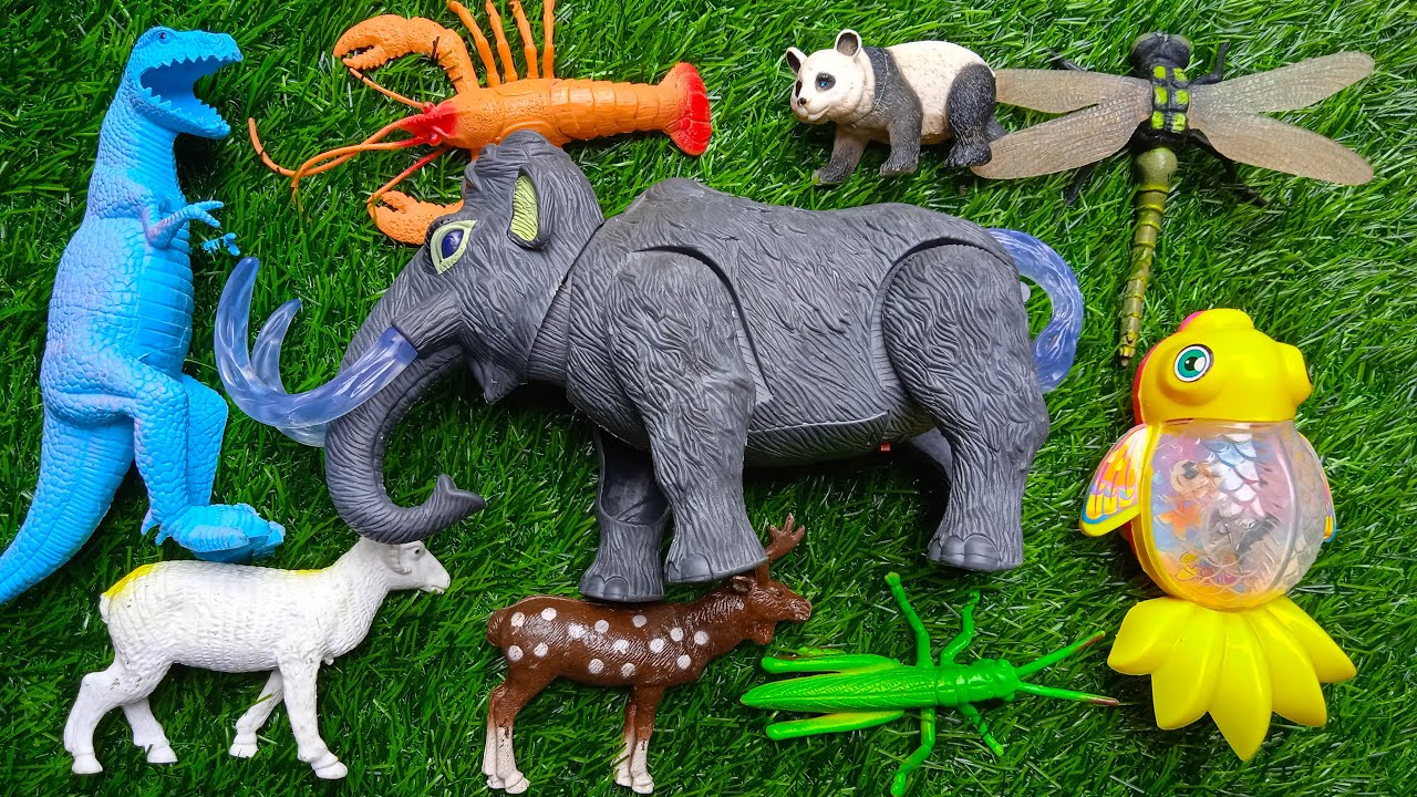 Mammoth Trex Lobster Panda Capung Ikan Koki Belalang Daun Rusa Domba ...