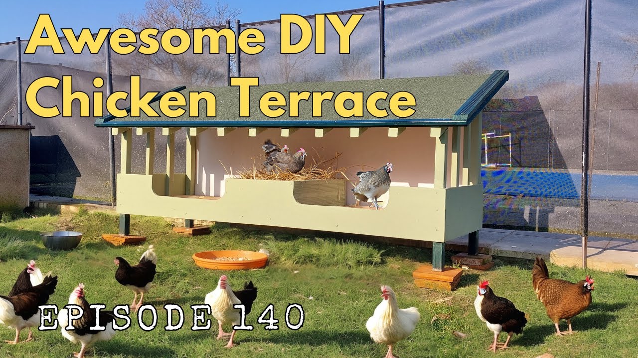 Ep 140 | Step-by-Step DIY | How to make a Chicken Terrace! | French ...