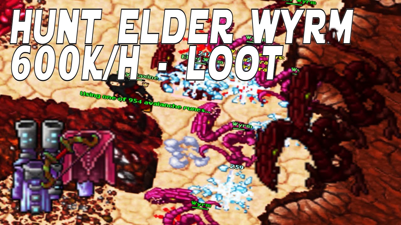 [Tibia] Hunt Elder Wyrm - (600k/h) - [MS/ED 150+] - YouTube
