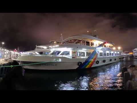 Ücretsiz ve Telifsiz Videolar | 4K İstanbul Üsküdar Sahil Night Lapse Video (C/N:GX014325)