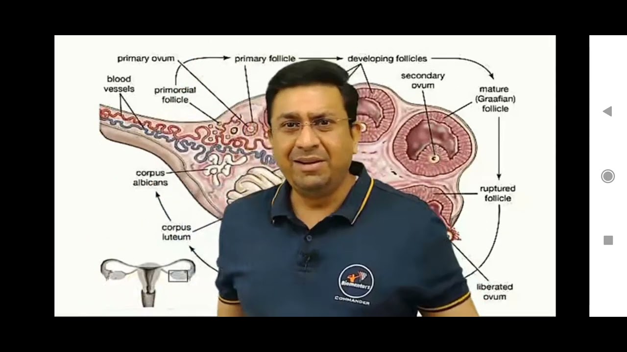 Story of a Neet man 🙂 - YouTube