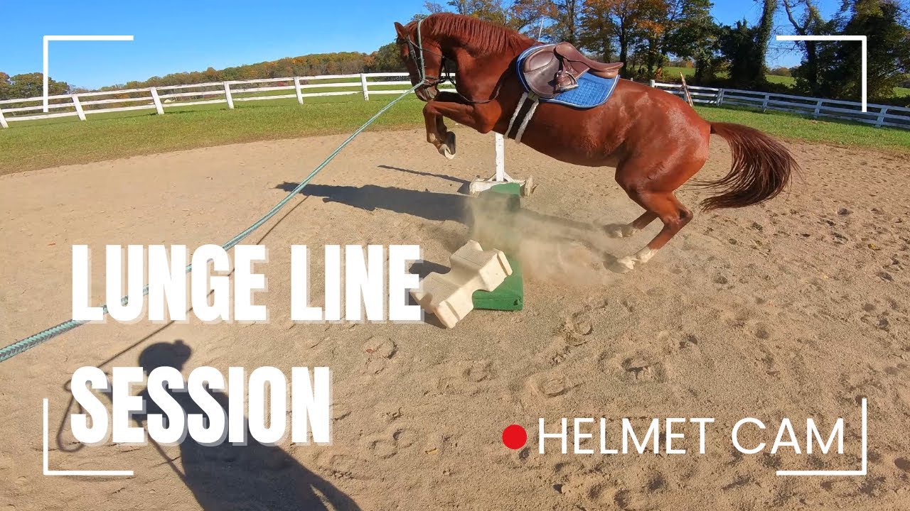 Helmet Cam Stu Lunge Line Session (with Opinions) | Lunging Over Jumps ...