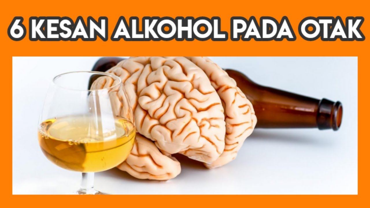 6 Kesan Alkohol Pada Otak - YouTube