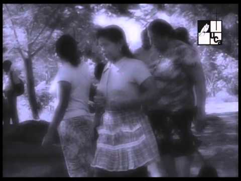11 de septiembre de 1980: Masacre Santa Rosita (2006)