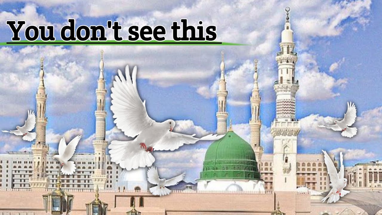 So Beautiful View of Madina | Live 4K Walk Near Masjid al-Nabawi ...