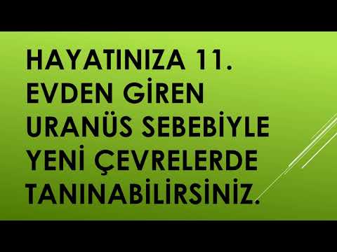 2019'DA YENGEÇ'LER