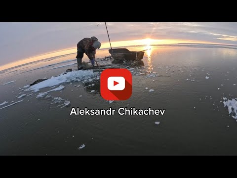 Зимний, рыбный промысел на реке Индигирка❄️🌨️