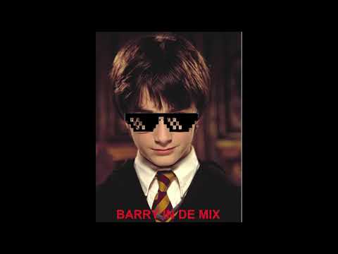 MasterMovies - Barry Pooter (Frenchore Remix)