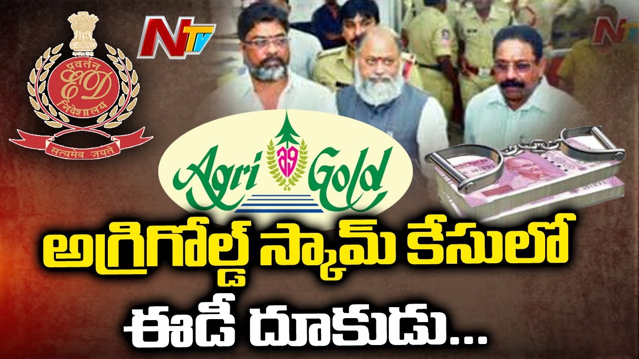 ED Arrests Chairman and Two Directors in Agri Gold Scam | Ntv - YouTube
