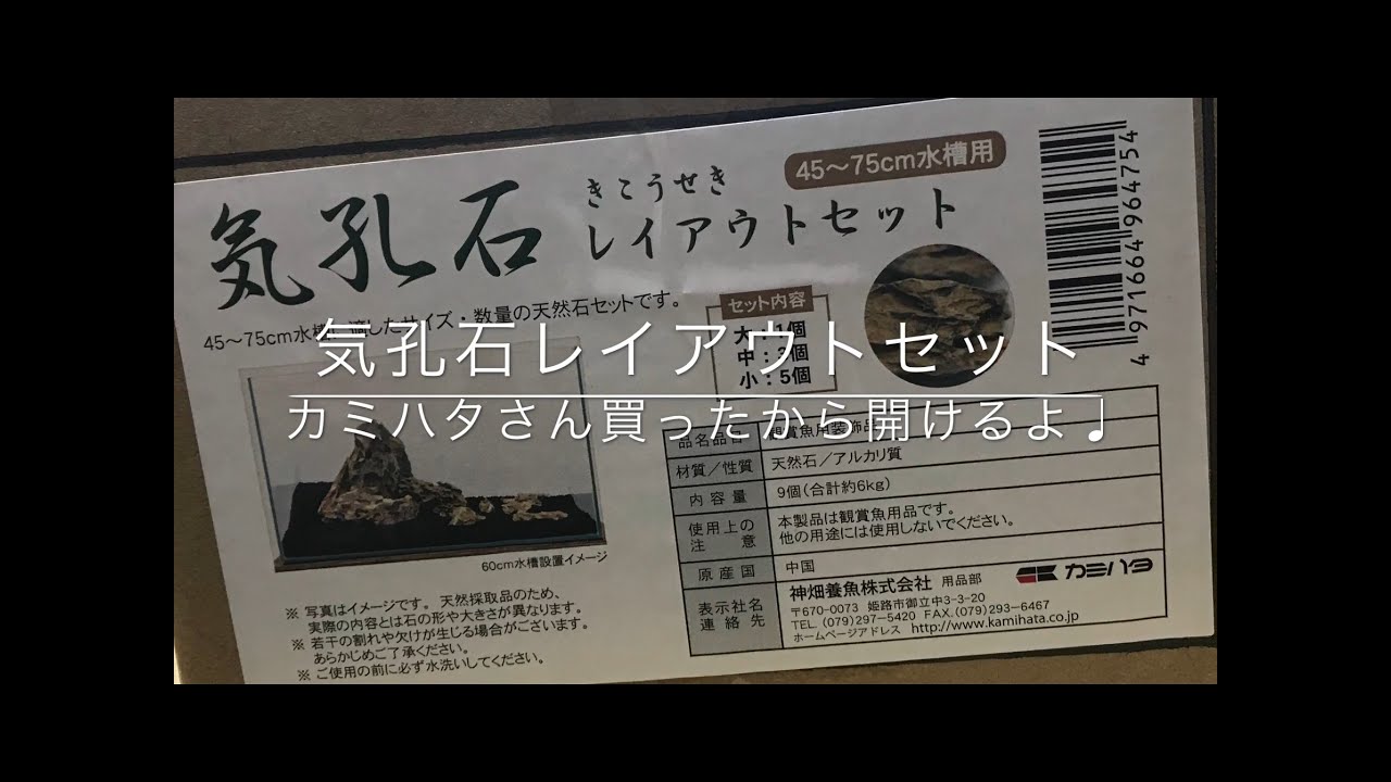 カミハタ気孔石レイアウトセット / KAMIHATA Dragon stones layout set - YouTube